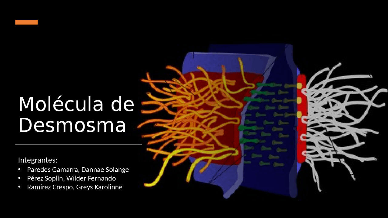 DESMOSOMAS, estructura. - Docsity