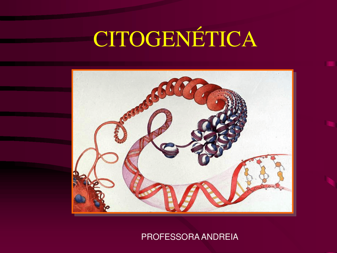 CITOGENETICA HUMANA MOLECULAR - Docsity