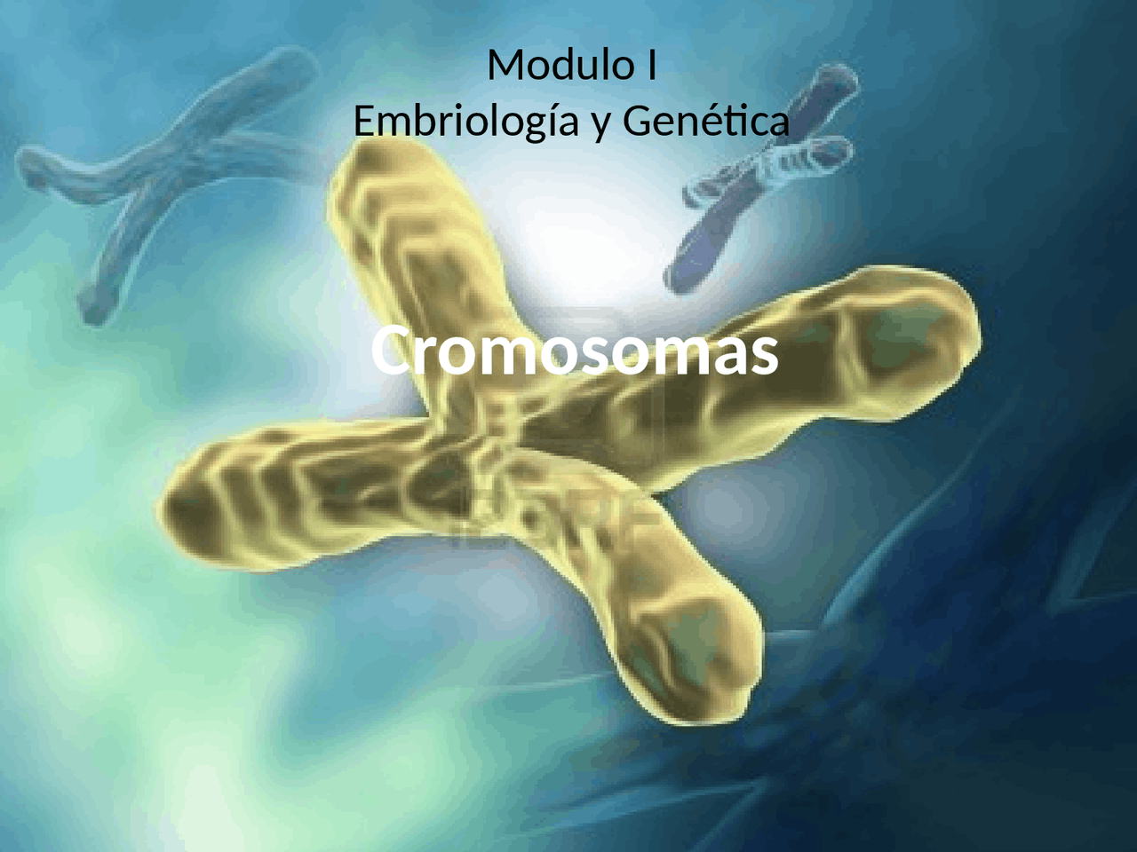 Cormosomas power paint - Docsity