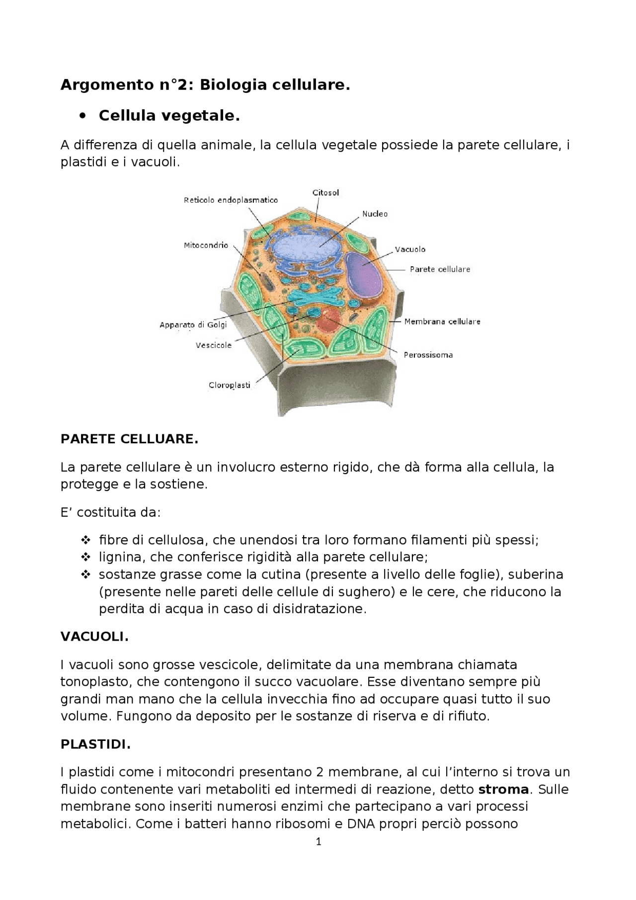 Struttura della cellula vegetale - Docsity