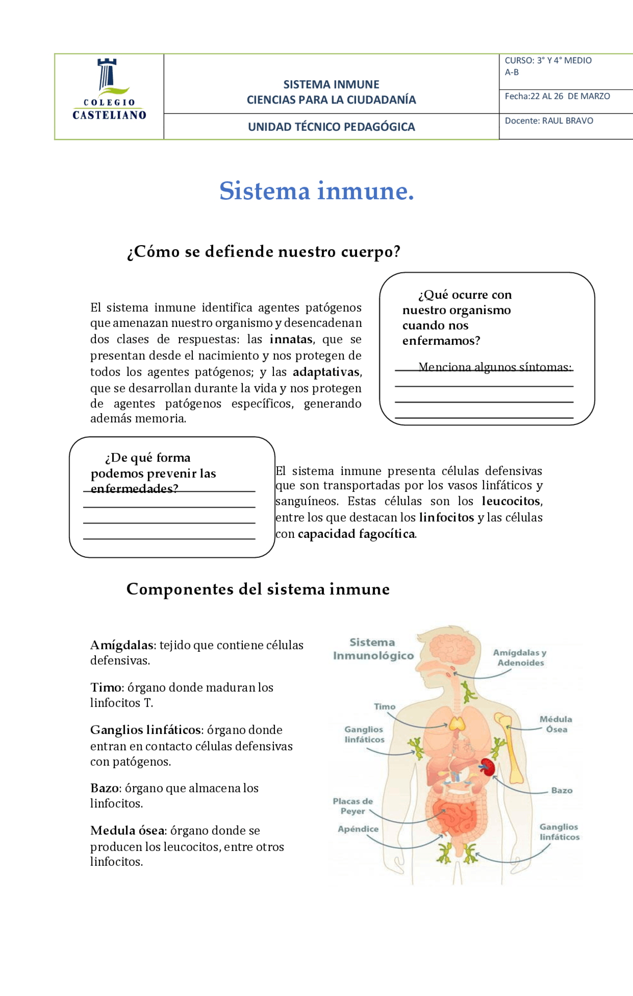 Guia de inmunidad humana - Docsity