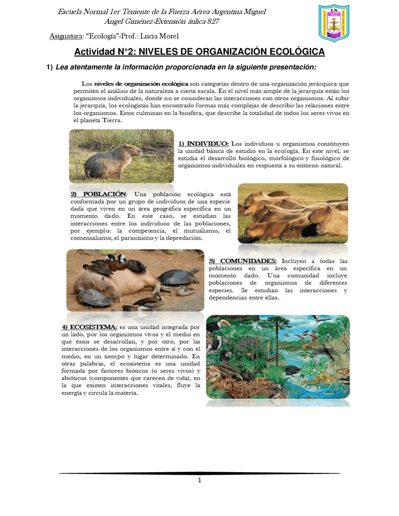 Actividad N°2: NIVELES DE ORGANIZACIÓN ECOLÓGICA | Apuntes de Biología ...