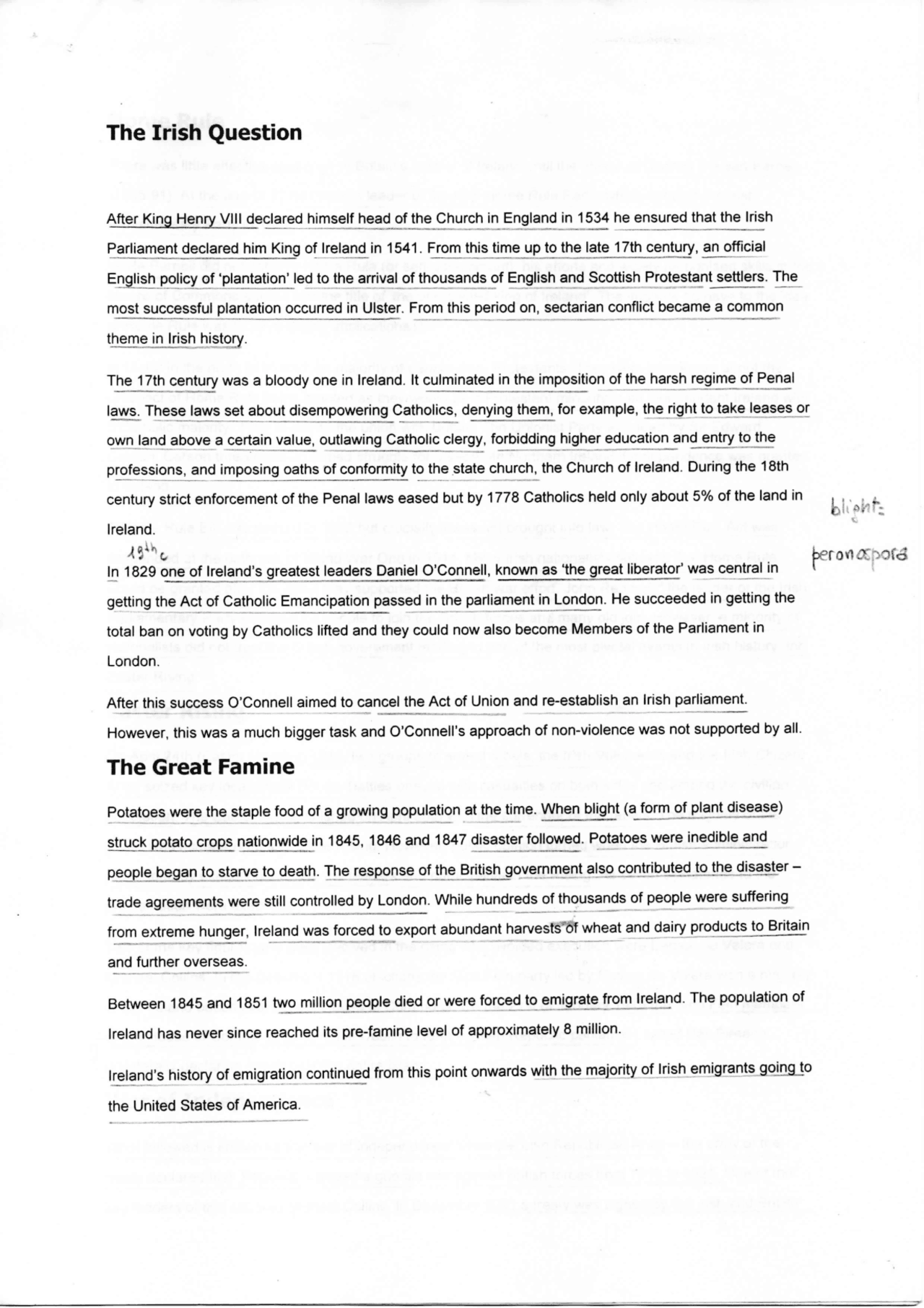 -The Irish Question- | Appunti di Inglese | Docsity