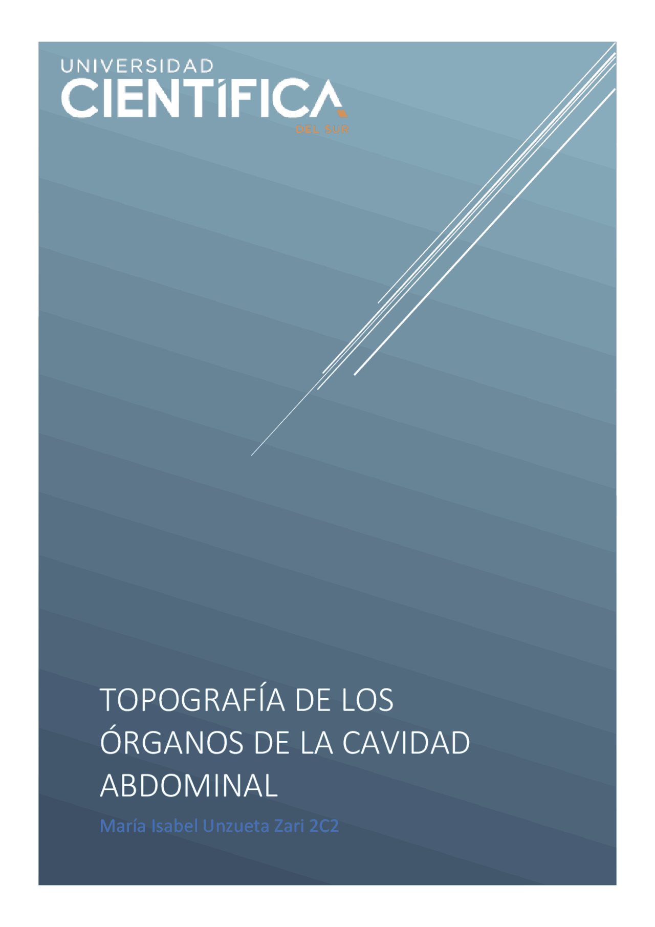 Cavidad Abdominal Anatomía Docsity