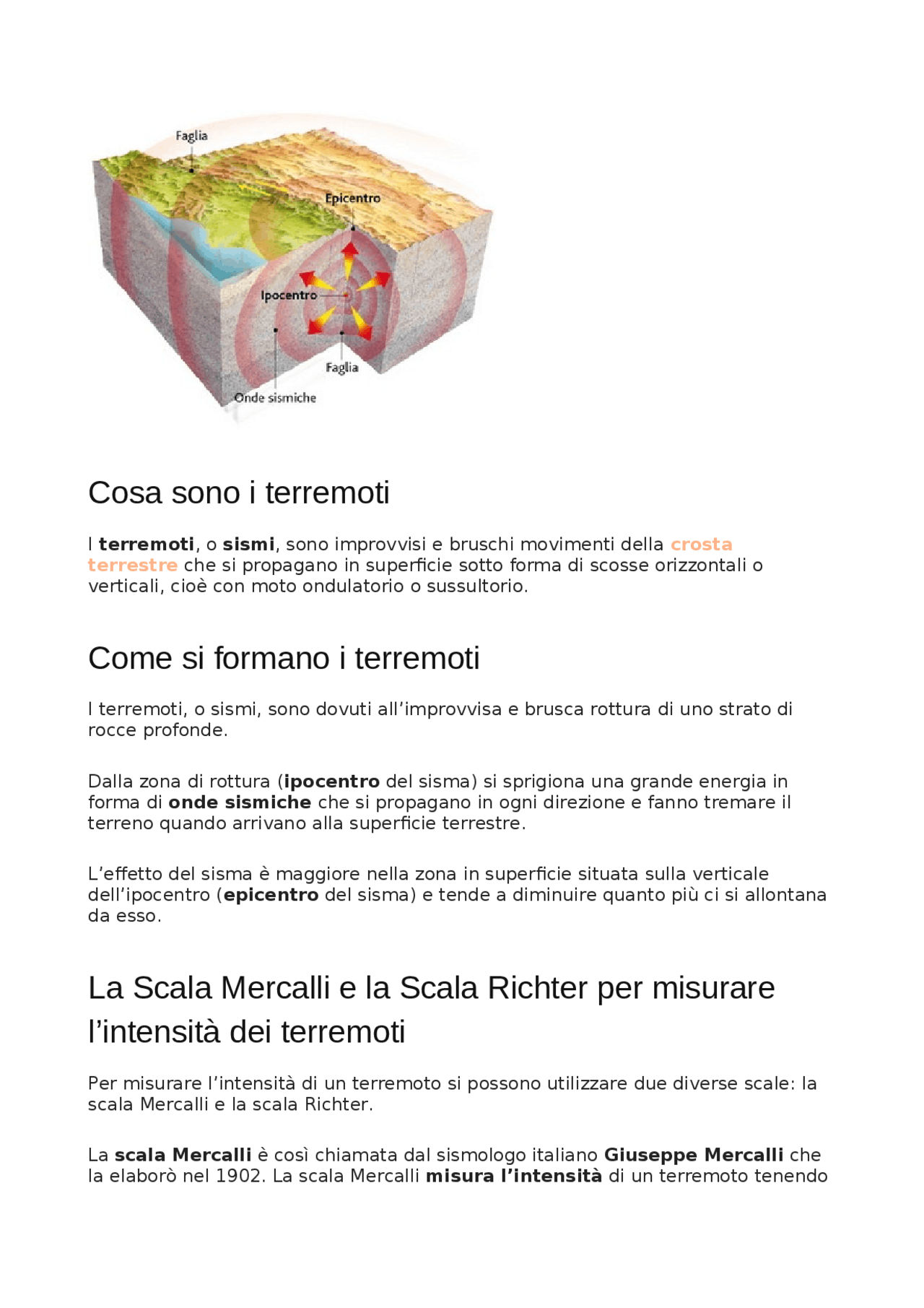 Riassunti E Ricerche Docsity
