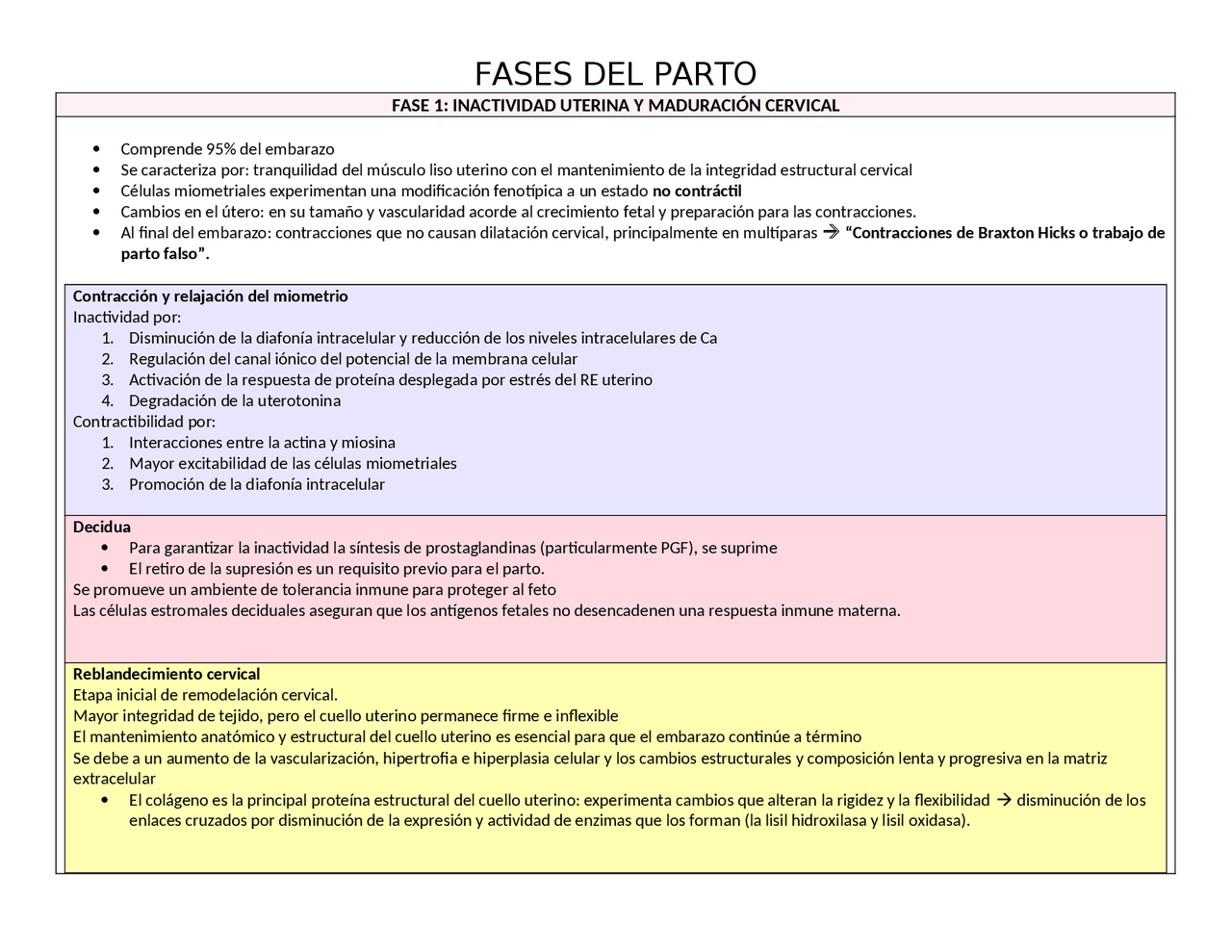Fases del Parto ginecología - Docsity