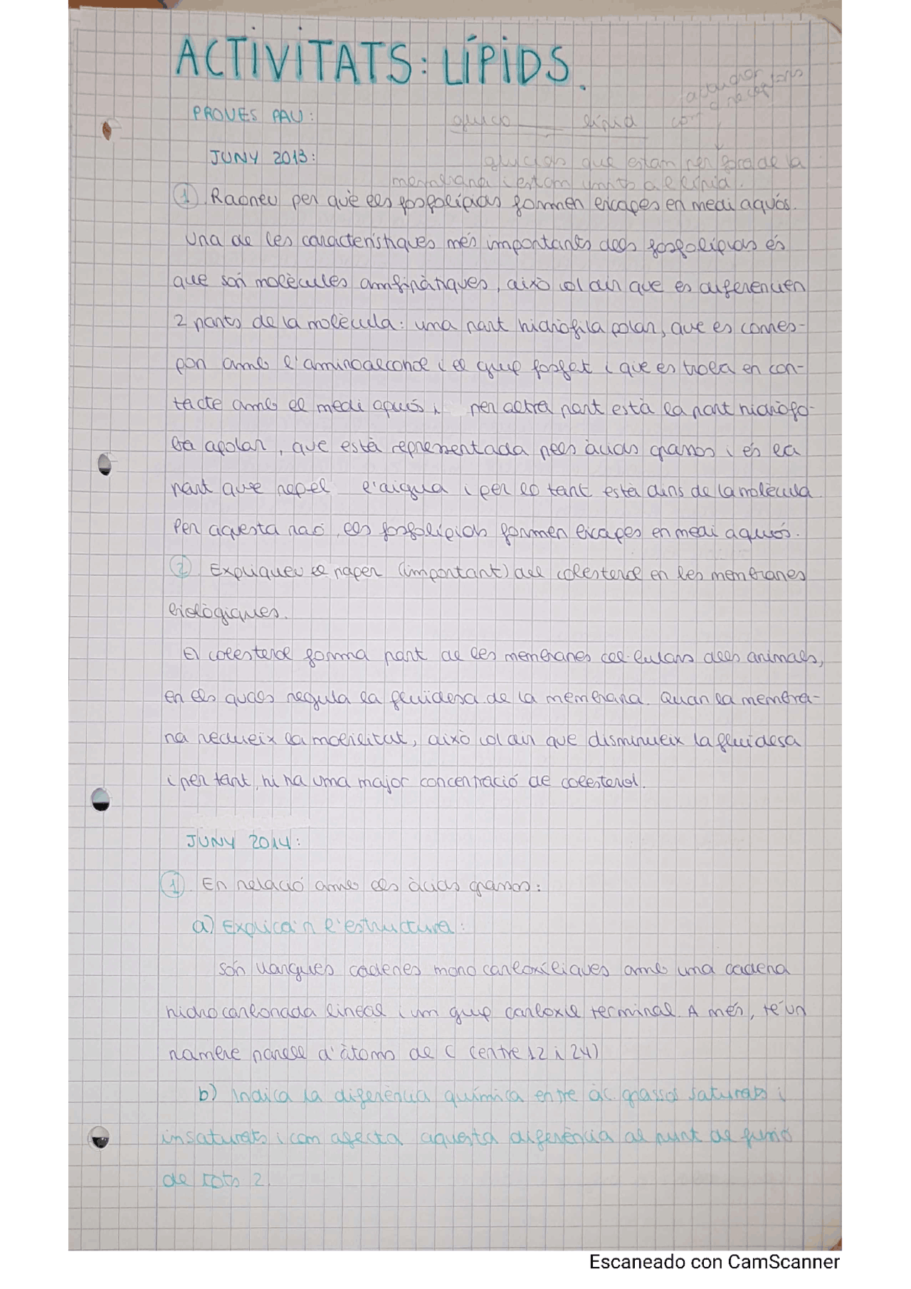 Ejercicios De Lípidos Resueltos Selectividad Docsity