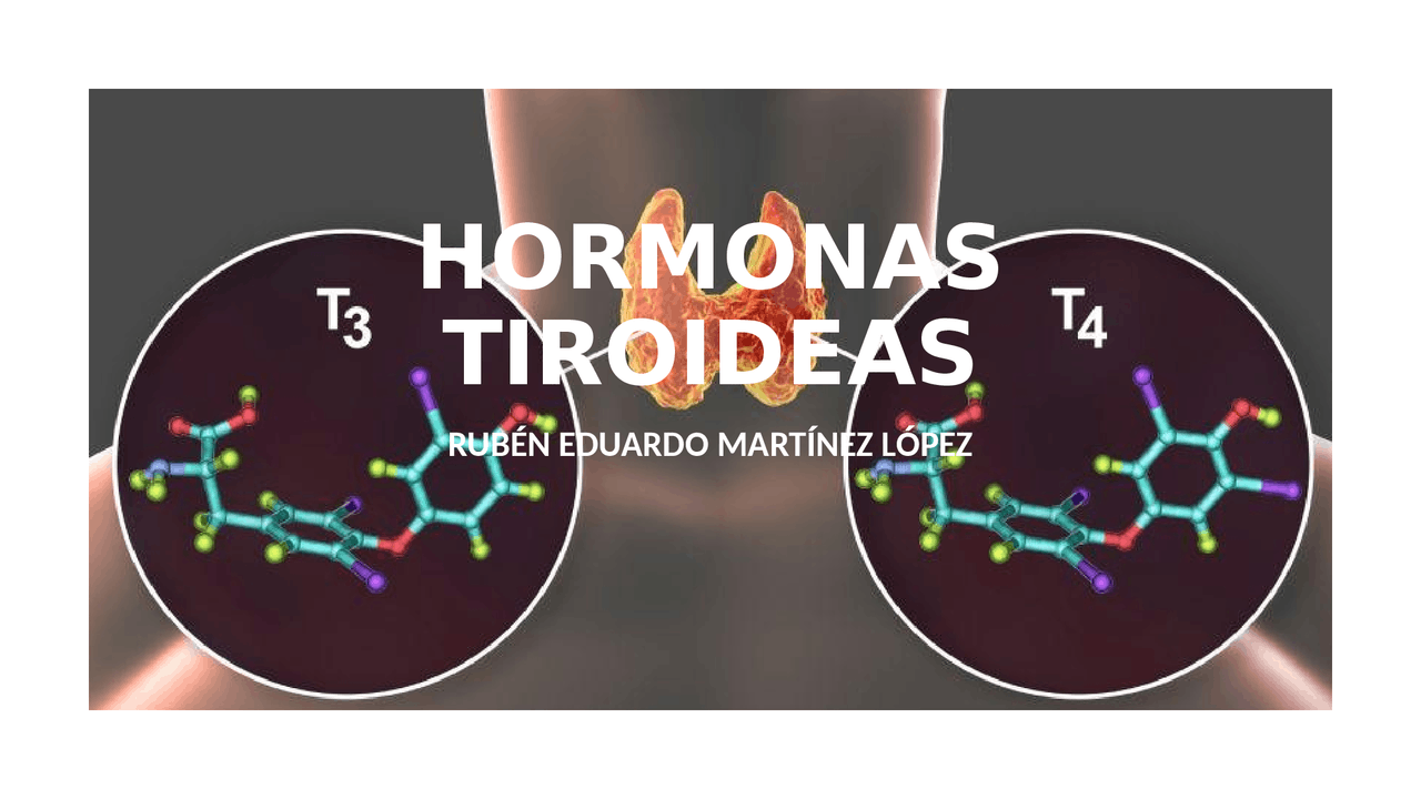 FisiologÍa De Las Hormonas Tiroideas Docsity