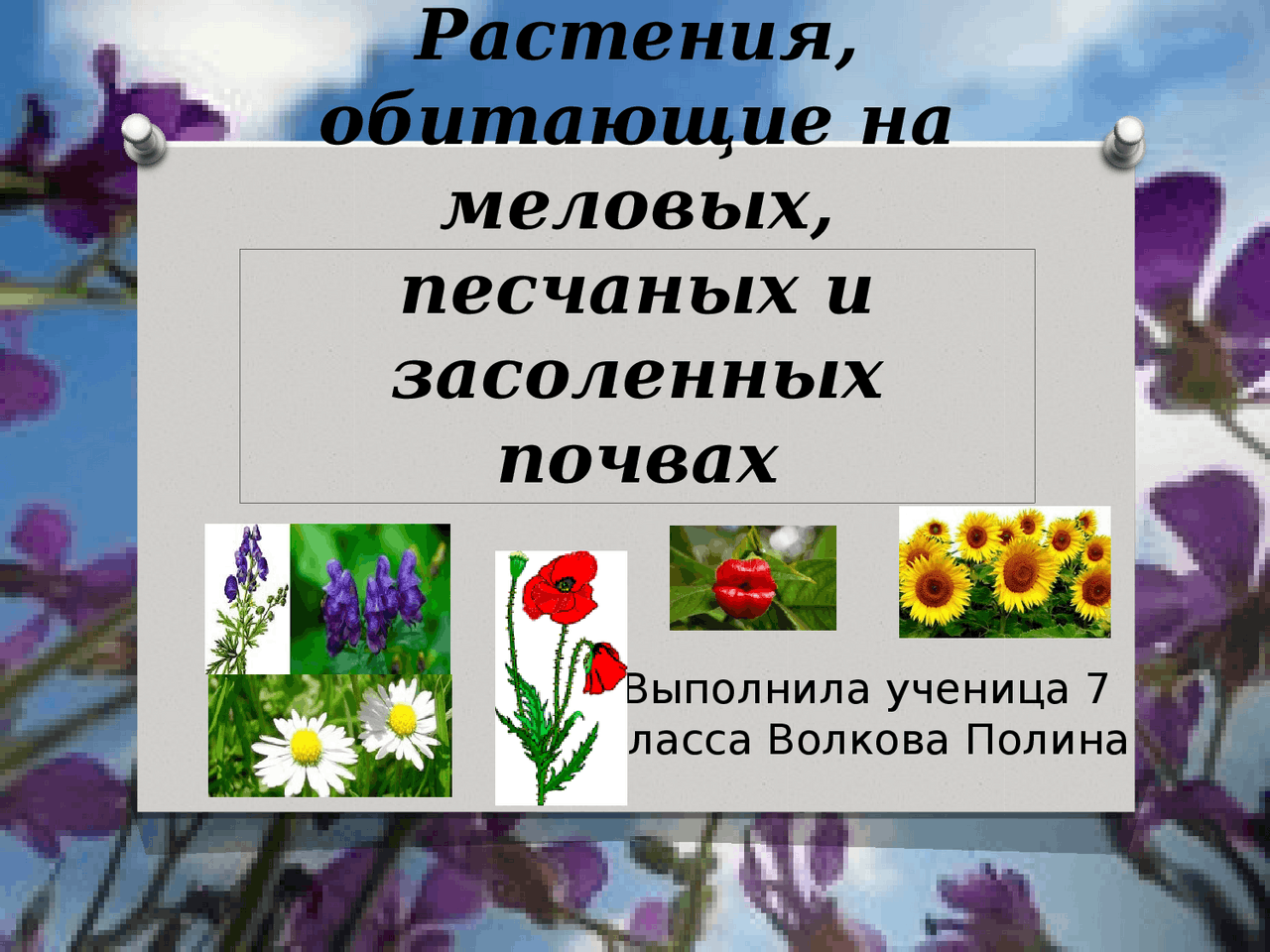 Растения обитающие на мелких песчаных породах Docsity