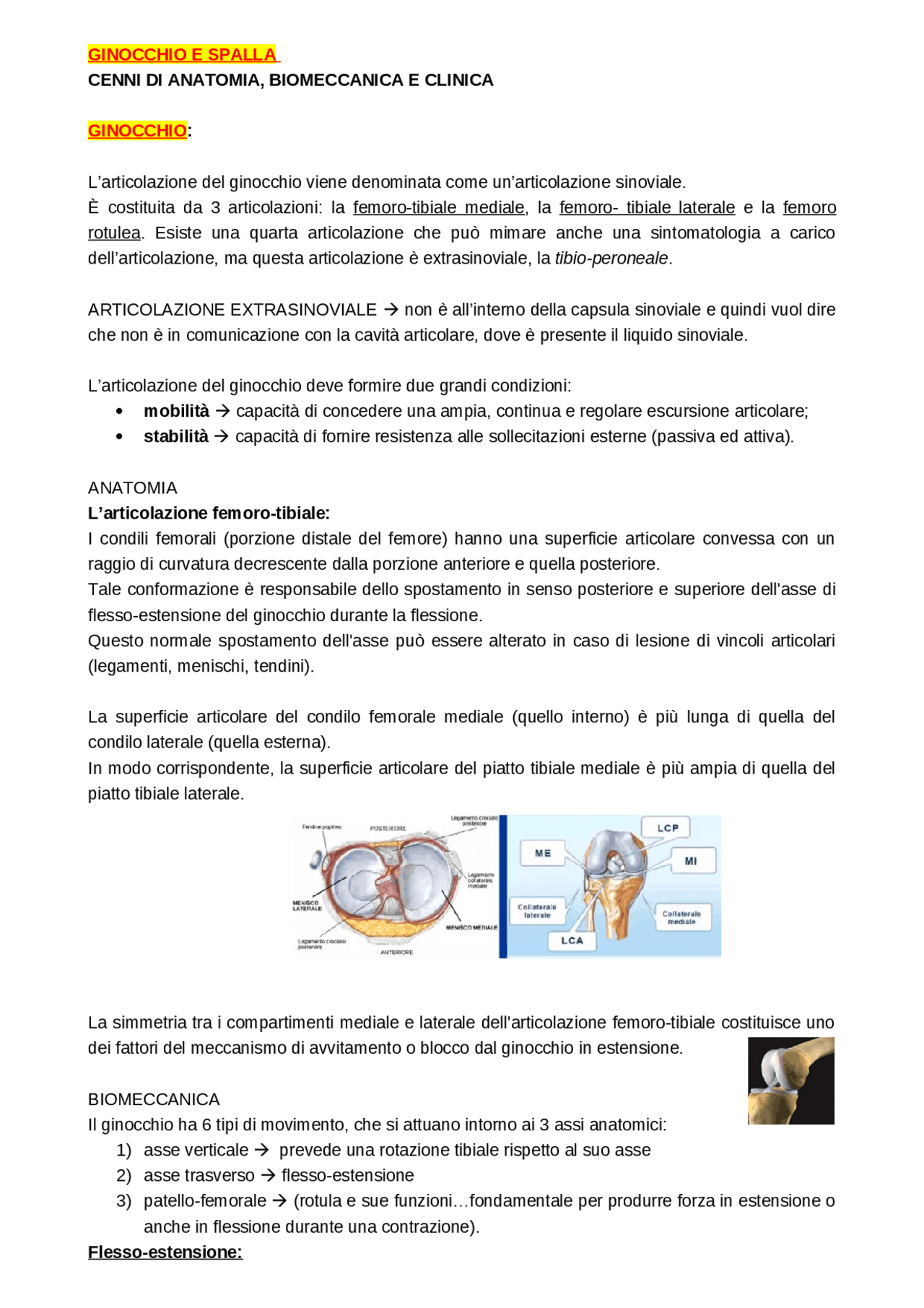 Classificazione Dello Scivolamento Rotuleo