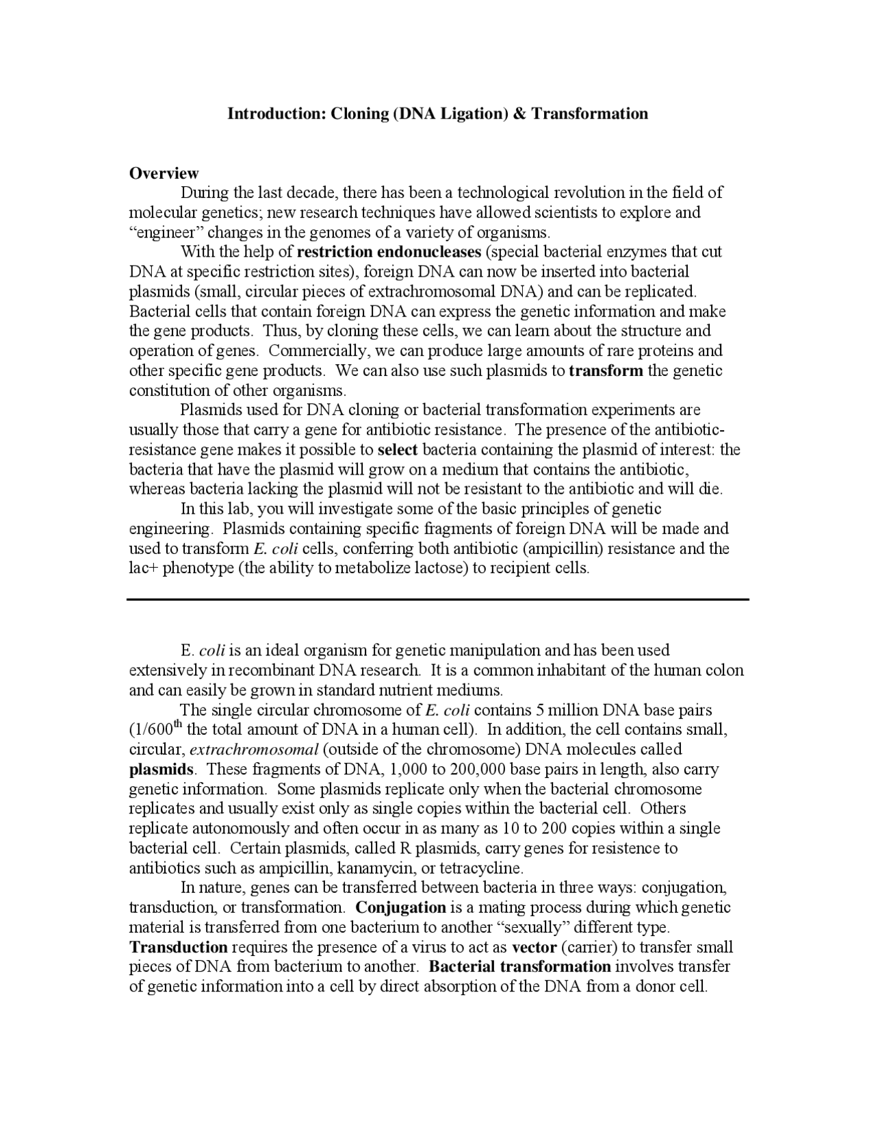 DNA Ligation and Transformation Lab Report | Lab Reports Biology | Docsity