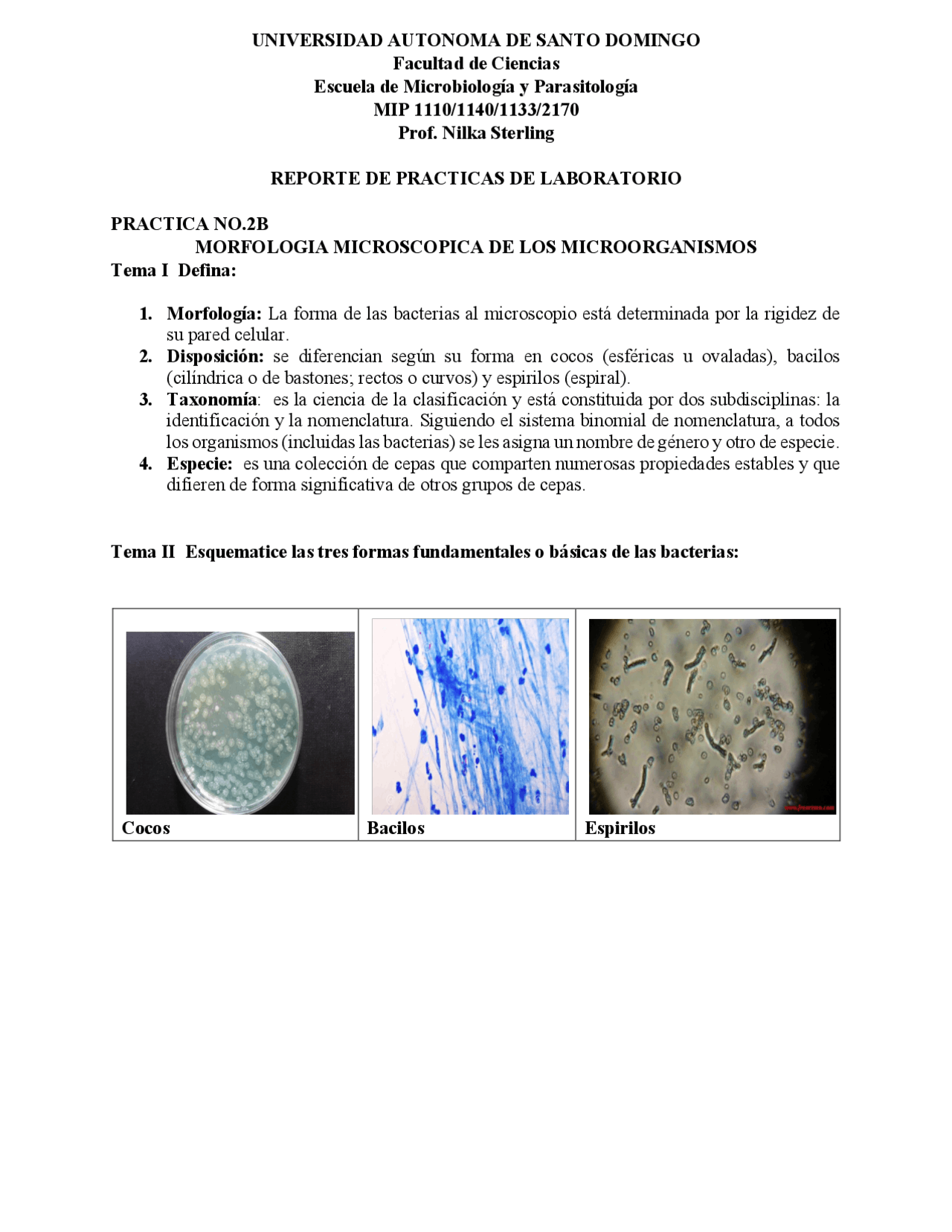 Practica De Laboratorio De Microbiologia Ejercicios De Microbiología