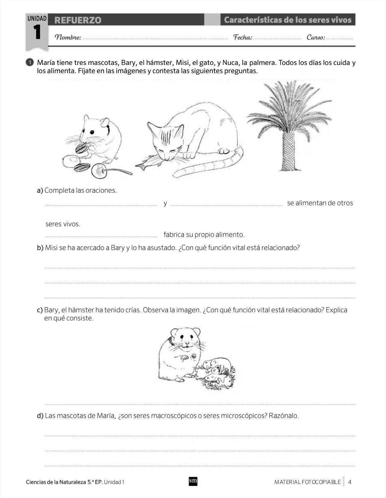 Ciencias Naturales Refuerzo y Ampliación SM Savia 5º Primaria ...