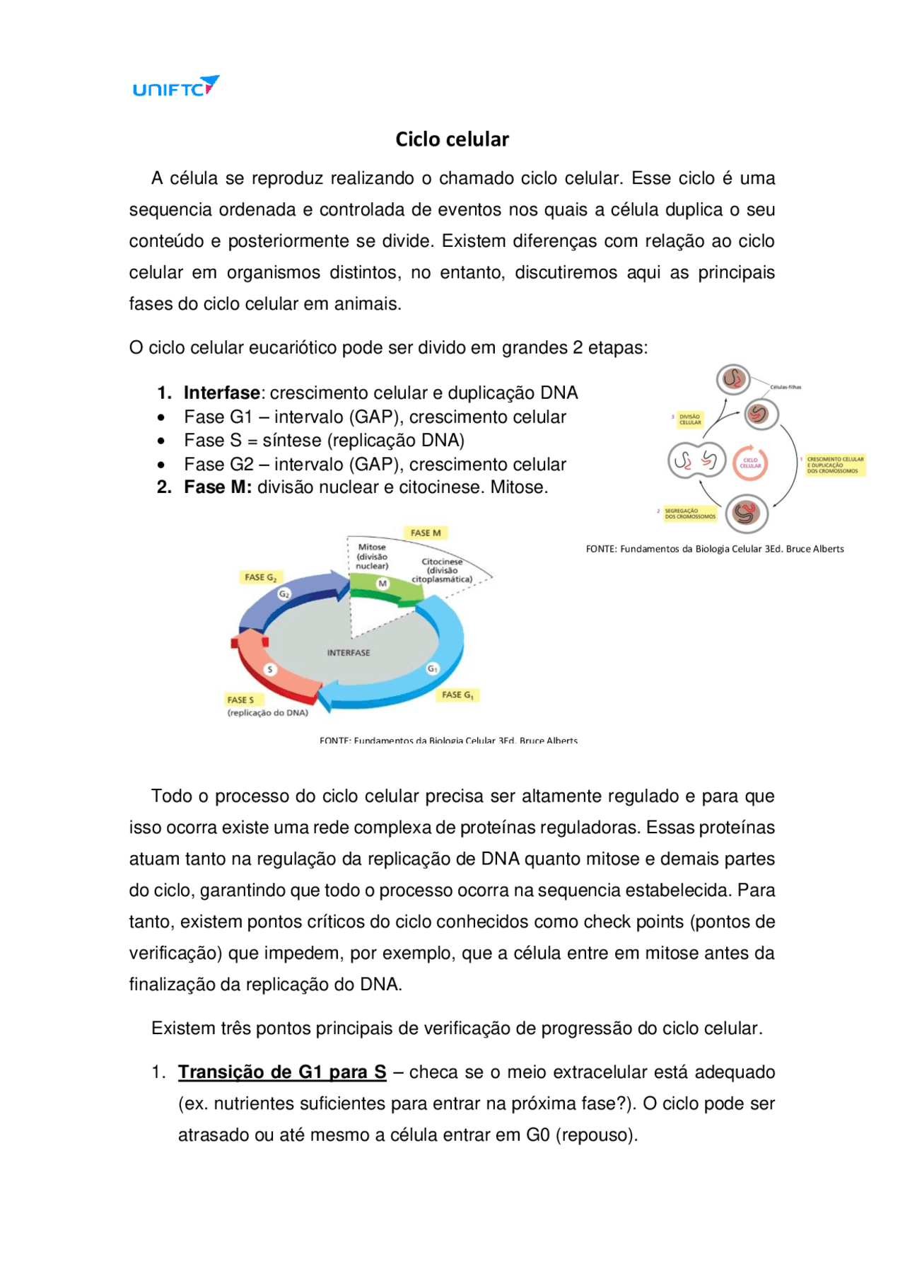 Resumo Ciclo Celular Docsity