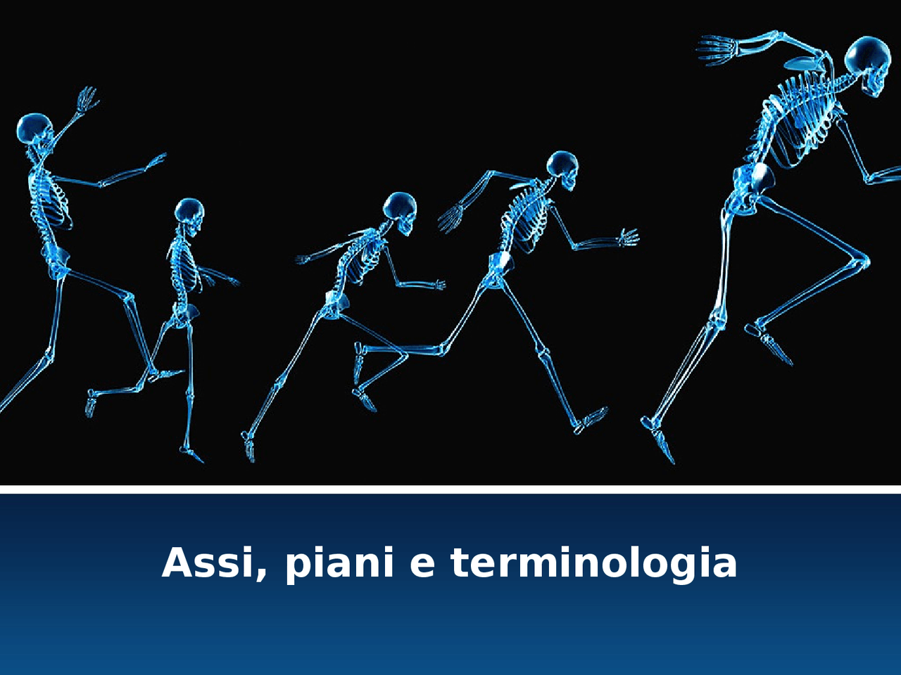 Assi, piani e terminologia - Docsity