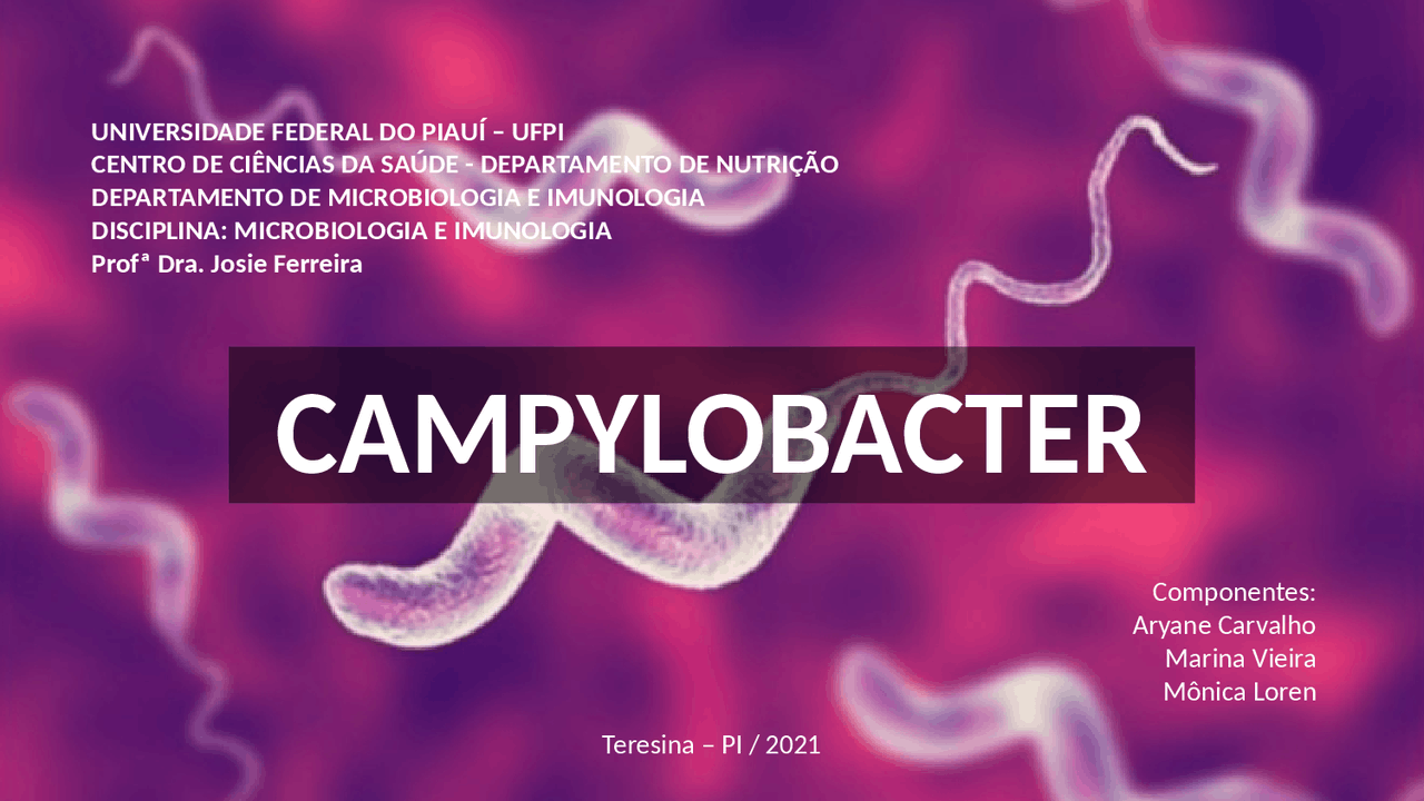Campylobacter - | Slides Microbiologia | Docsity