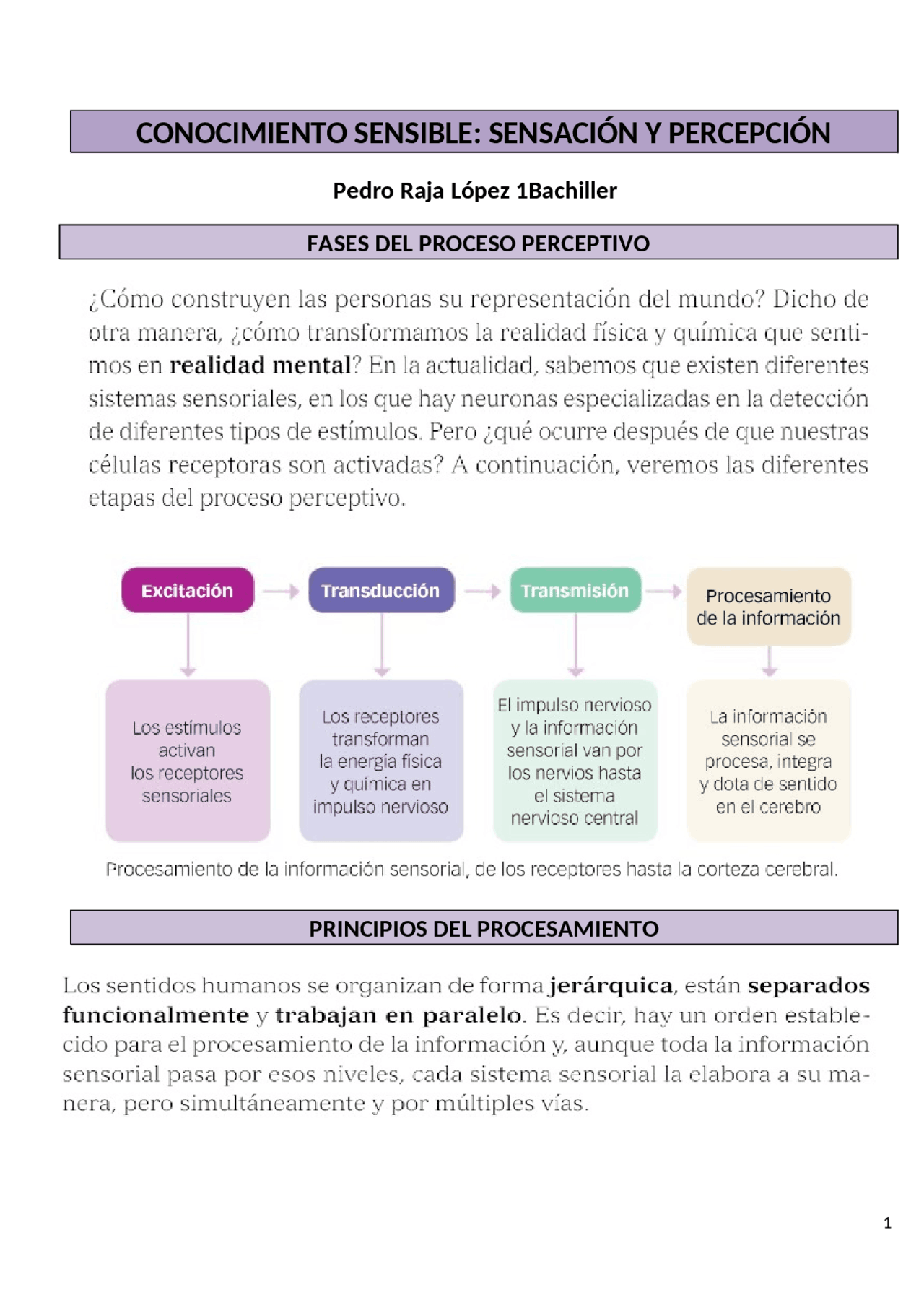 Conocimiento sensible - Docsity