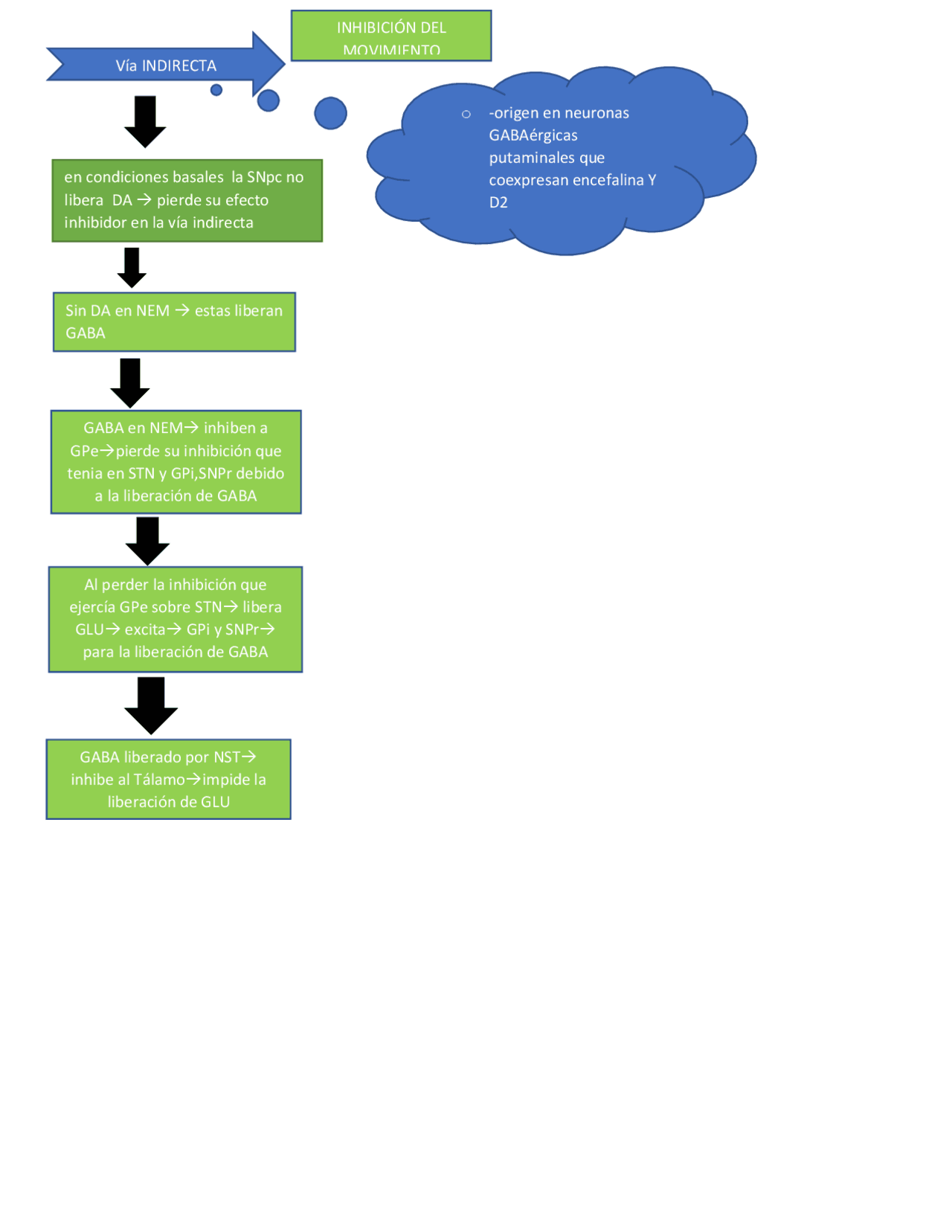 VÍA INDIRECTA FISIOLOGÍA - Docsity