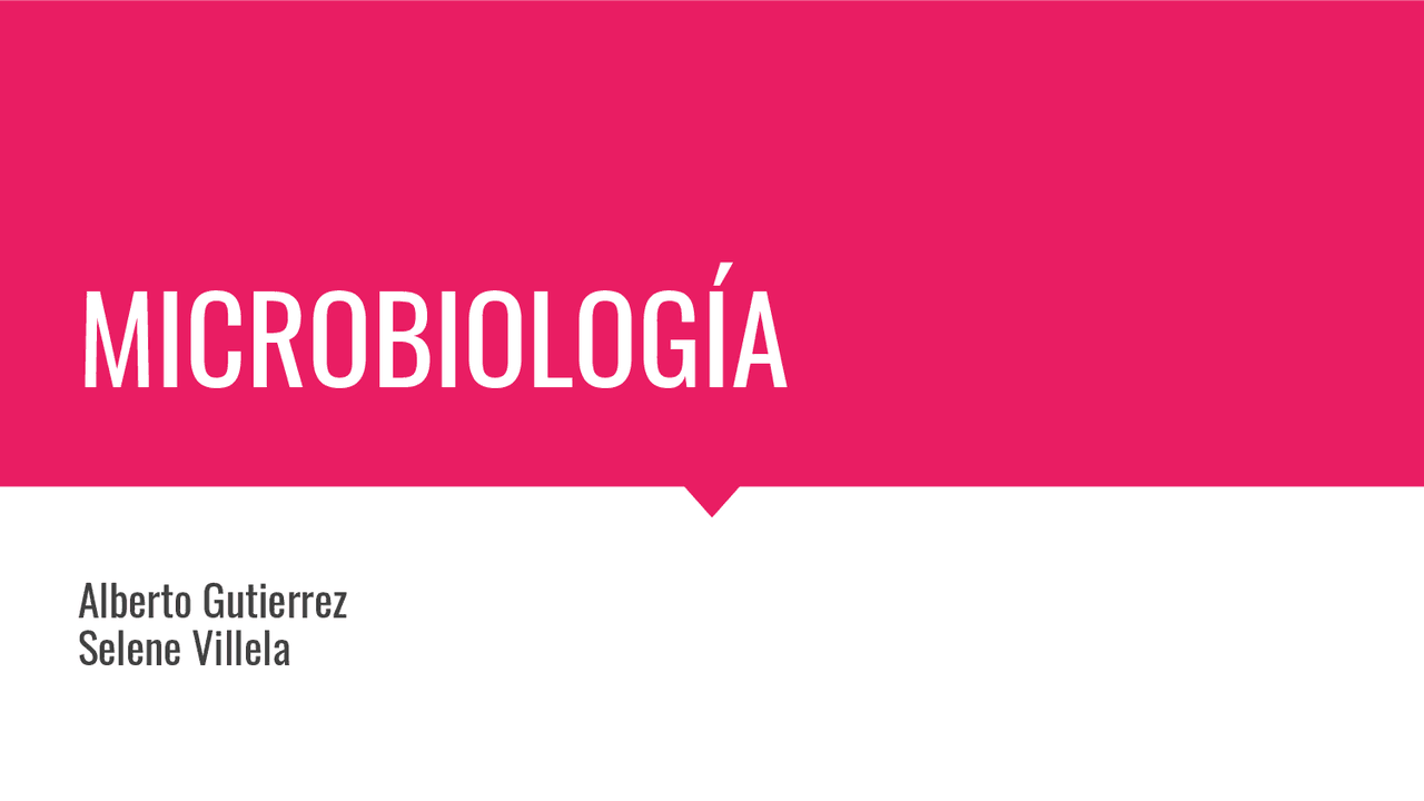 Microbiologia Virus Docsity