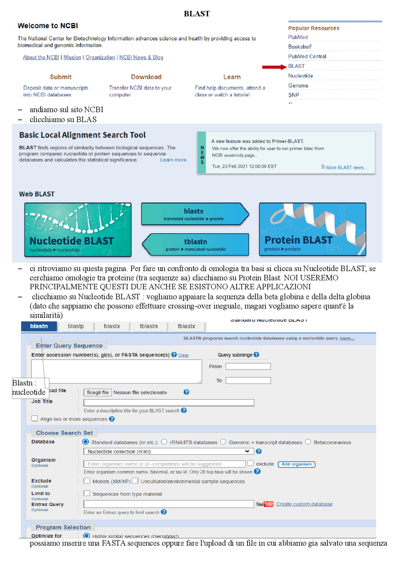 BLAST : software genomico - Docsity
