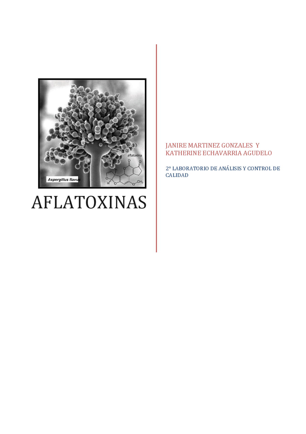 Agentes Tóxicos Aflatoxinas Docsity