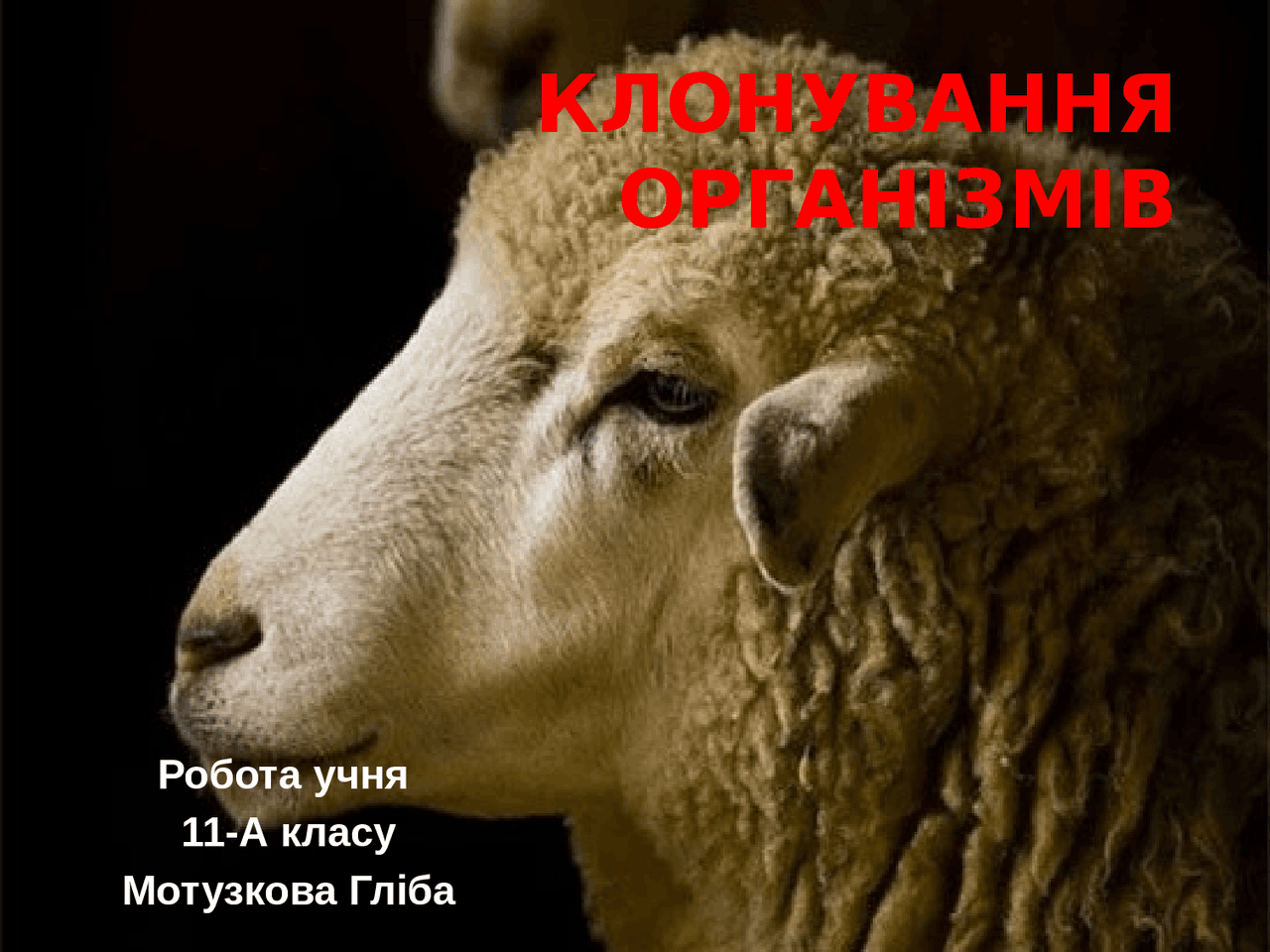 Проблематика клонирования Плюсы и минусы Перспективы Docsity