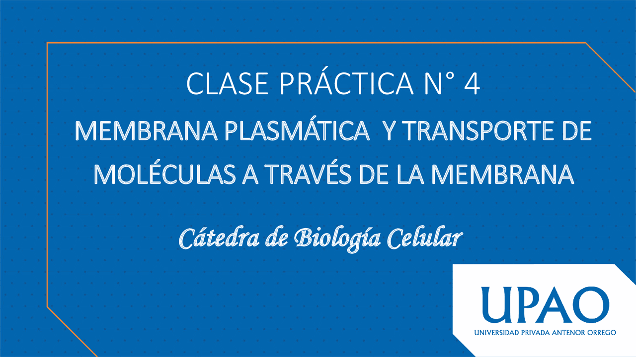 Membrana Plasmática Slides Of Cell Biology Docsity