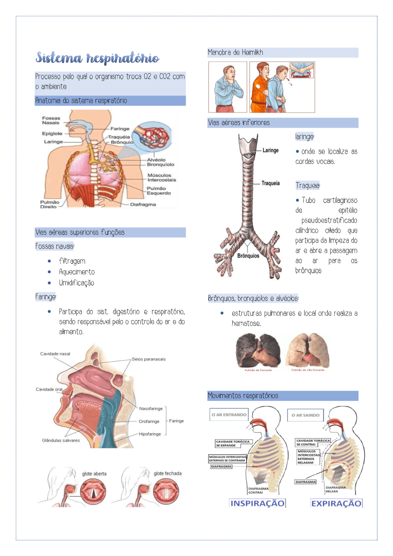 Sistema Respiratório Docsity