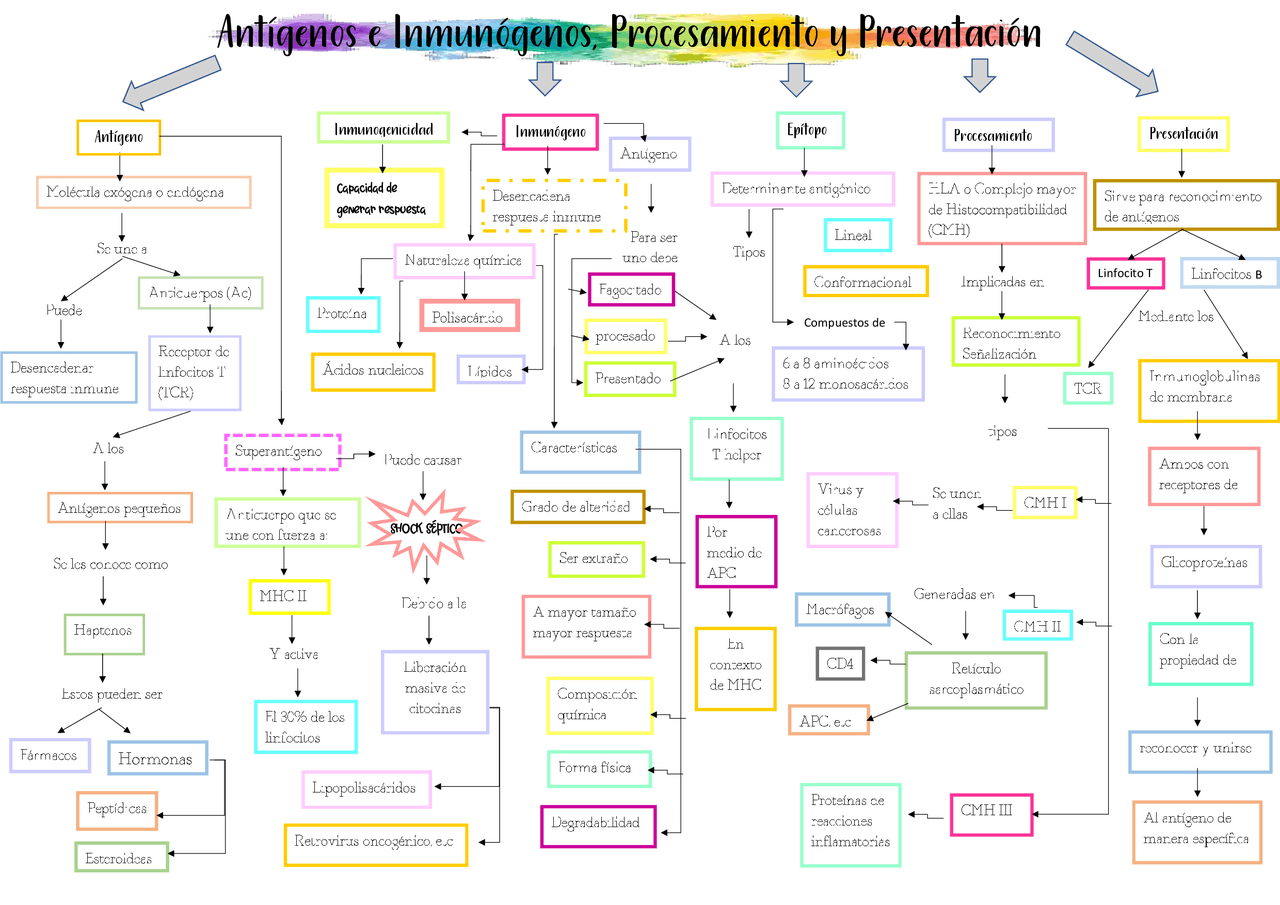 Mapa Conceptual Sobre Antígenos E Inmunógenos Esquemas Y Mapas