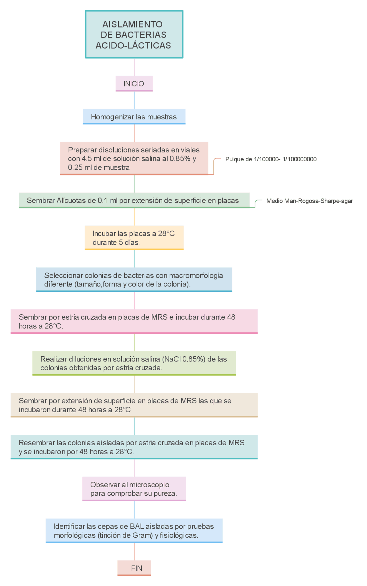 Diagrama De Eubacterias