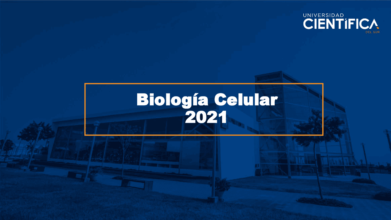 Apuntes sobre la Microscopía en Biología Celular: Tipos y Usos ...