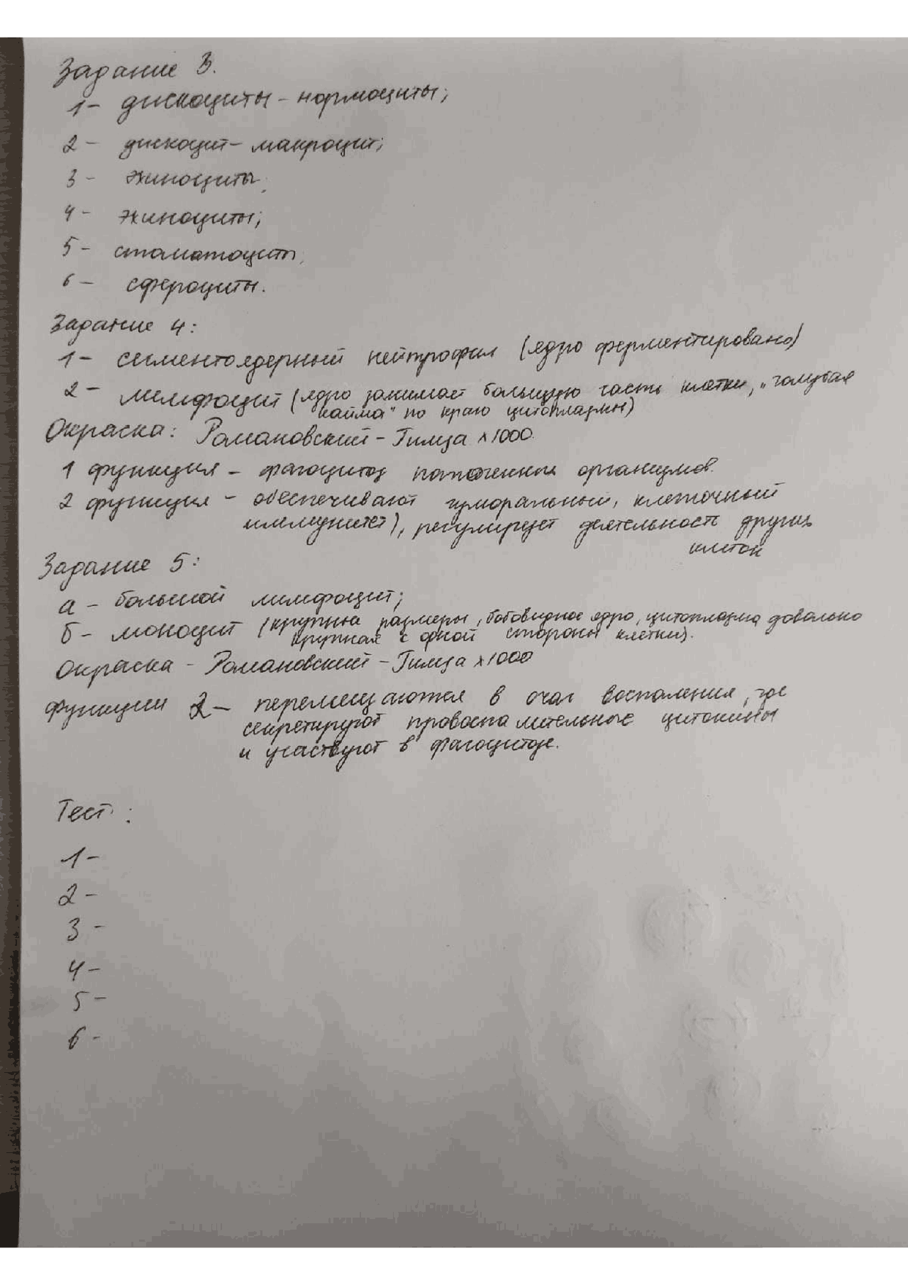 Задание по гистологии Docsity