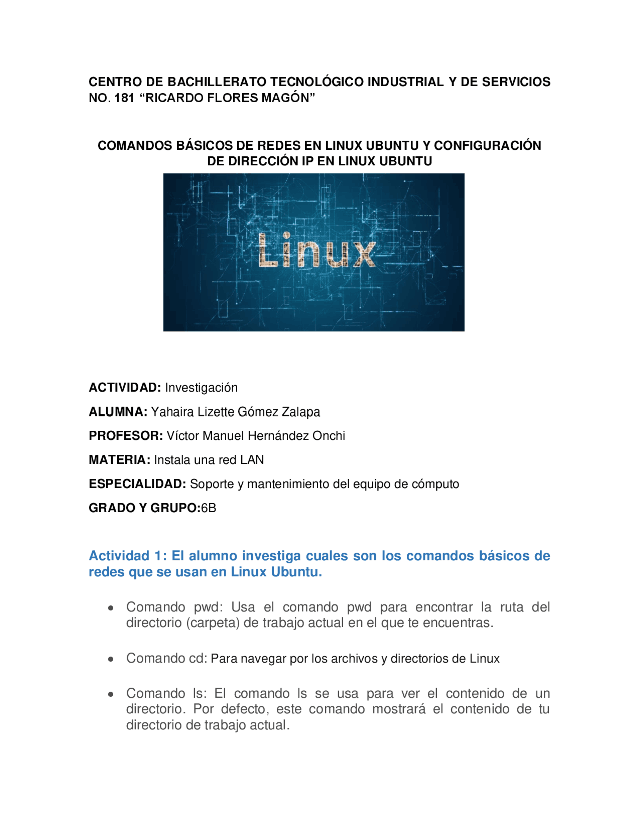 Comandos básicos para una red lan | Guías, Proyectos, Investigaciones de Matemáticas | Docsity