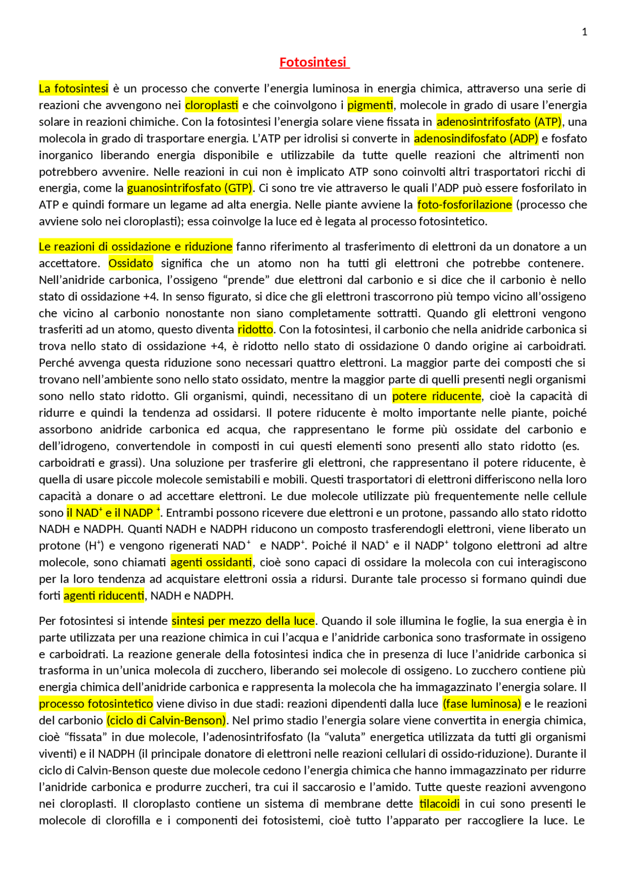 Riassunto Di Botanica Docsity