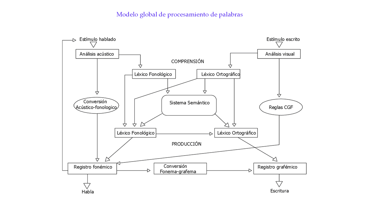 Modelo de procesamiento de palabras | Esquemas y mapas conceptuales de Psicología | Docsity