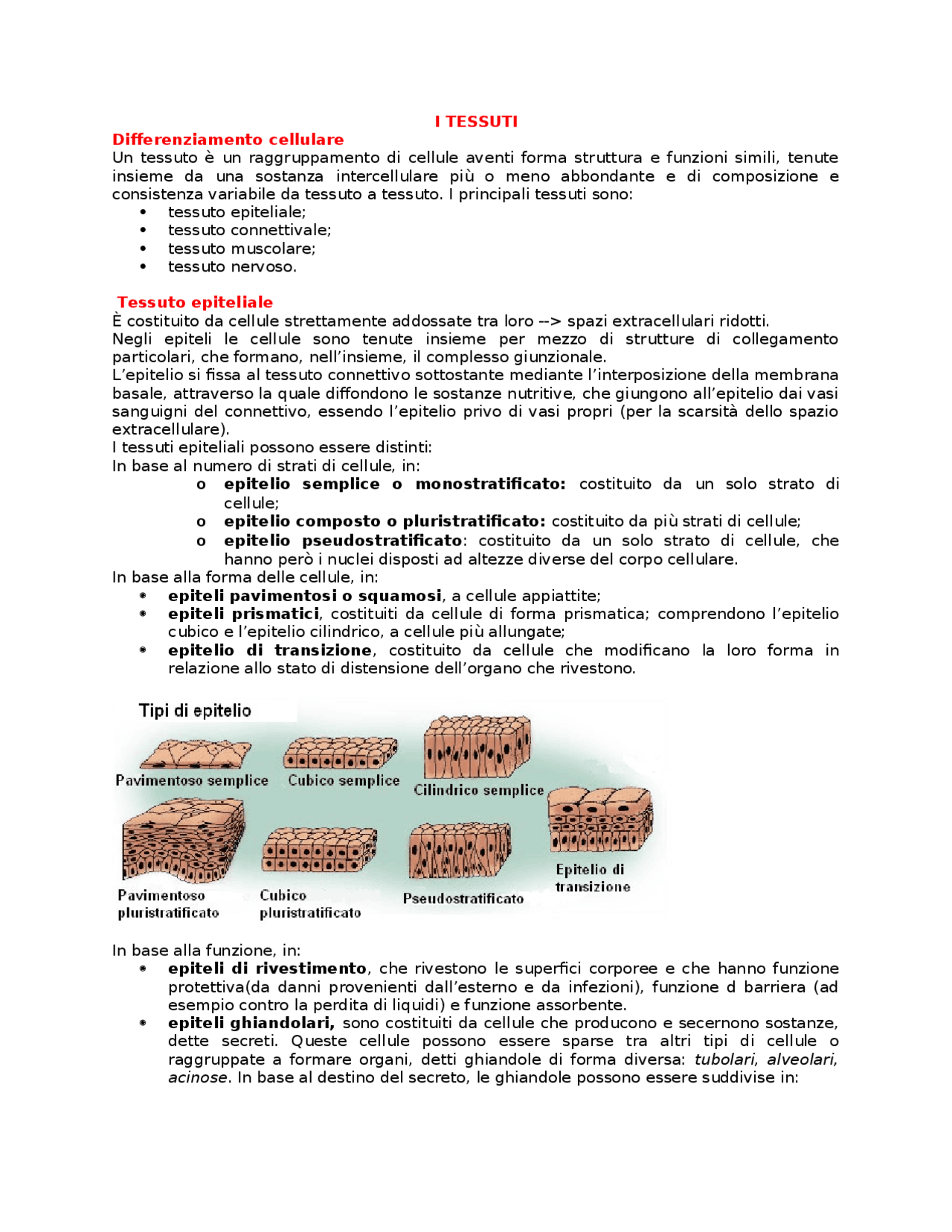 Tessuti Anatomia Biologia Docsity