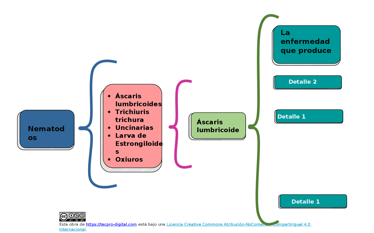 Nematodos Microbiología Resúmenes De Microbiología Docsity
