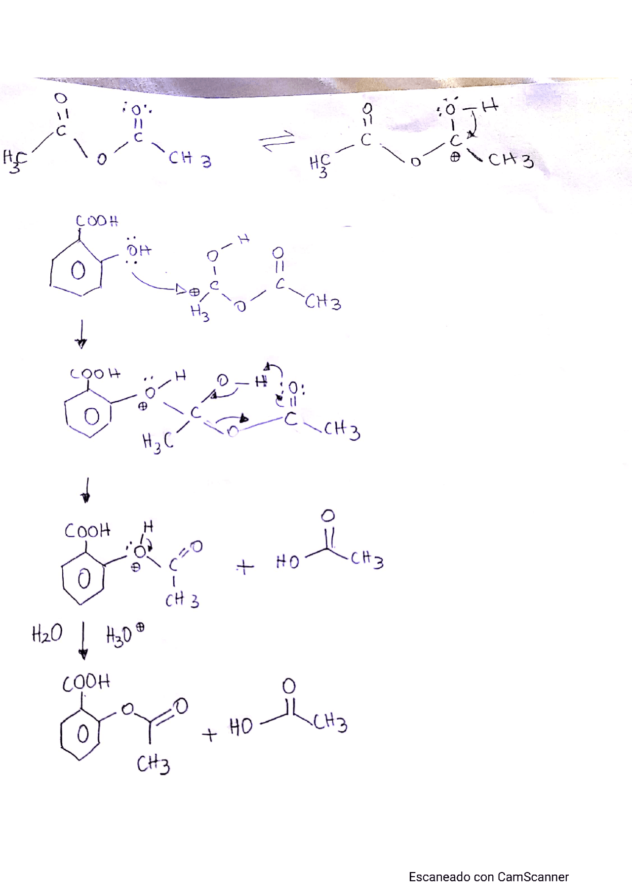Mecanismo acetanilida laboratorio de quimica organica - Docsity
