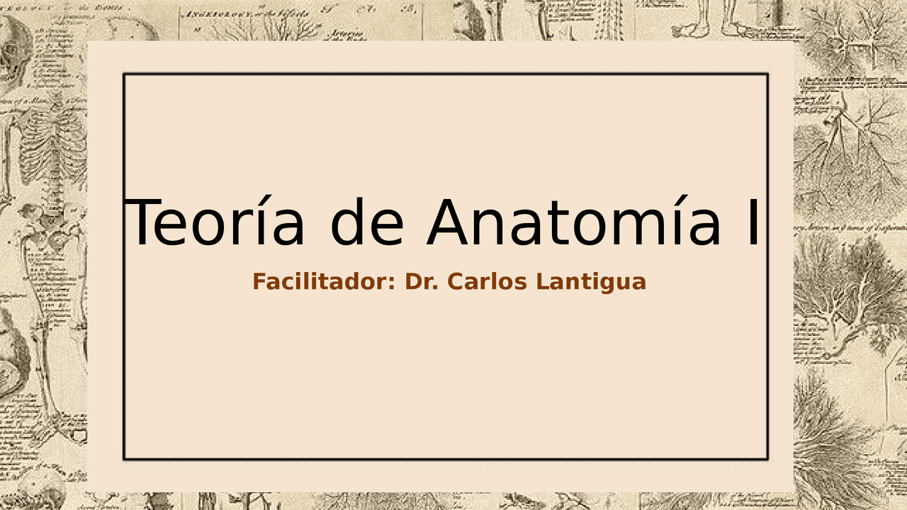 Anatomia I Cabeza Y Cuello Hueso Frontal Diapositivas De Anatomía