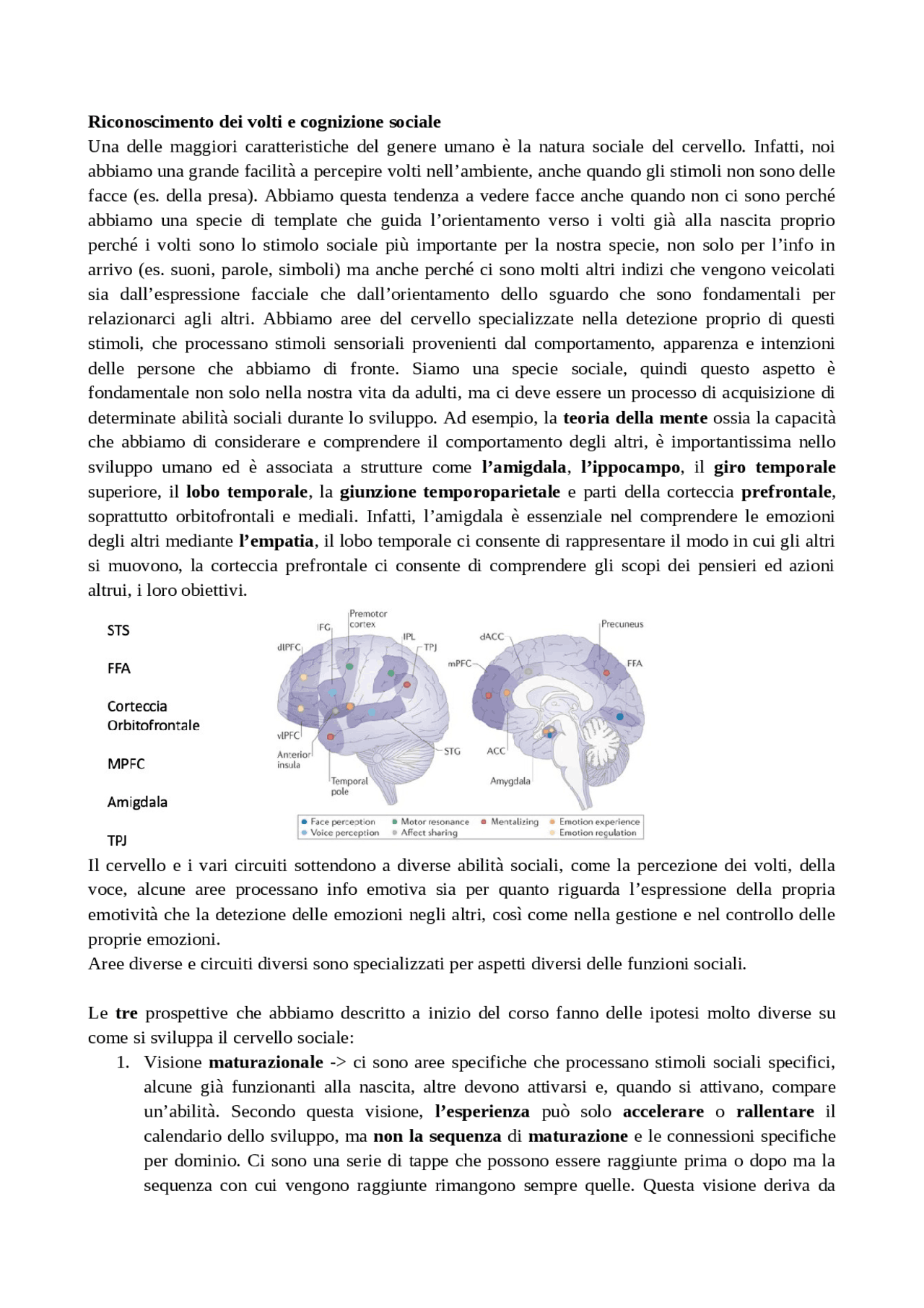 Riconoscimento Dei Volti E Cognizione Sociale Neuroscienze Cognitive