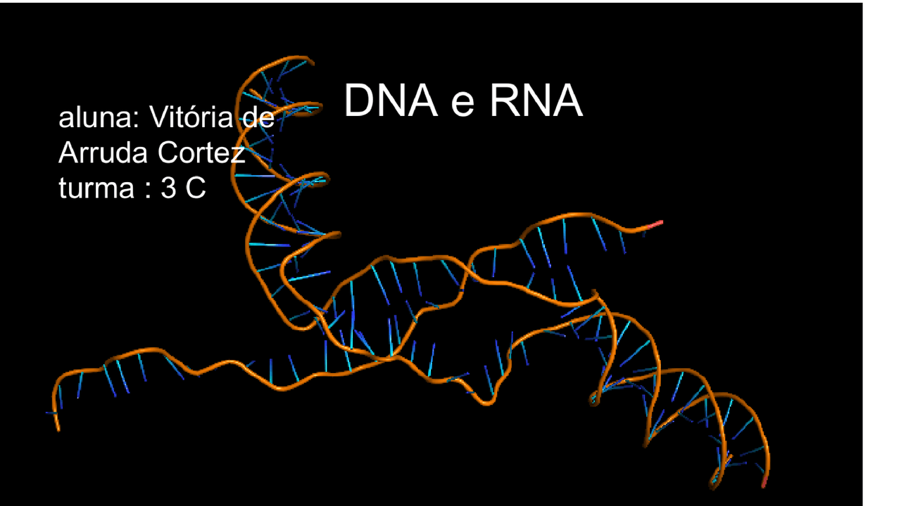 RNA e DNA das celulas do nosso corpo humano - Docsity