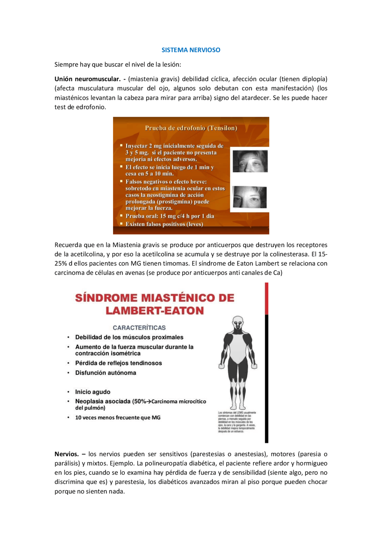 Resumen De Neurologia Apuntes De Neurología Docsity