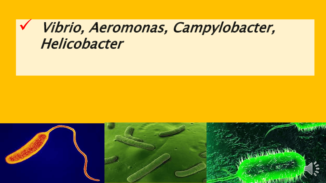 Clase N° 13 de las Familias, Vibrionaceae, Aeromonaceae ...