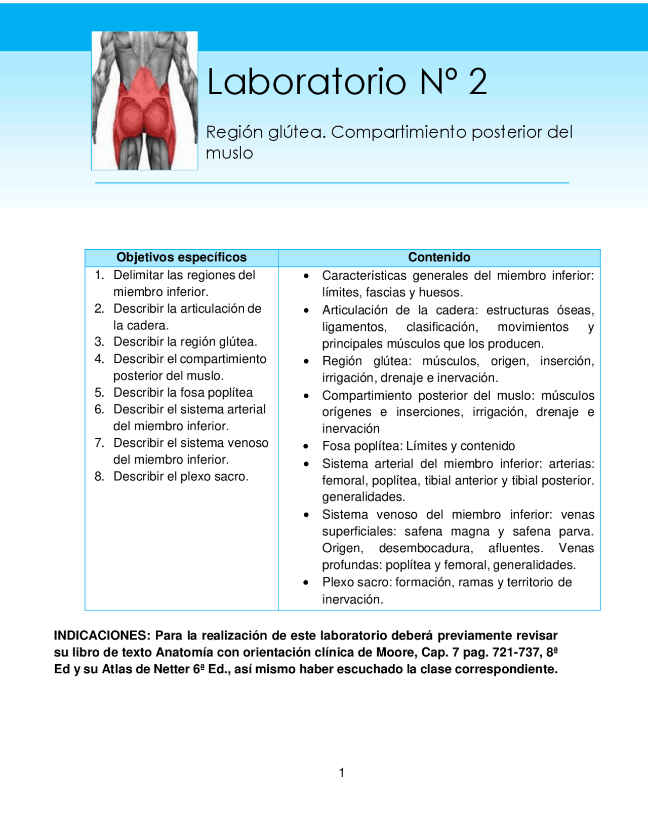 Laboratorio2 de anatomia humana macro anato - Docsity