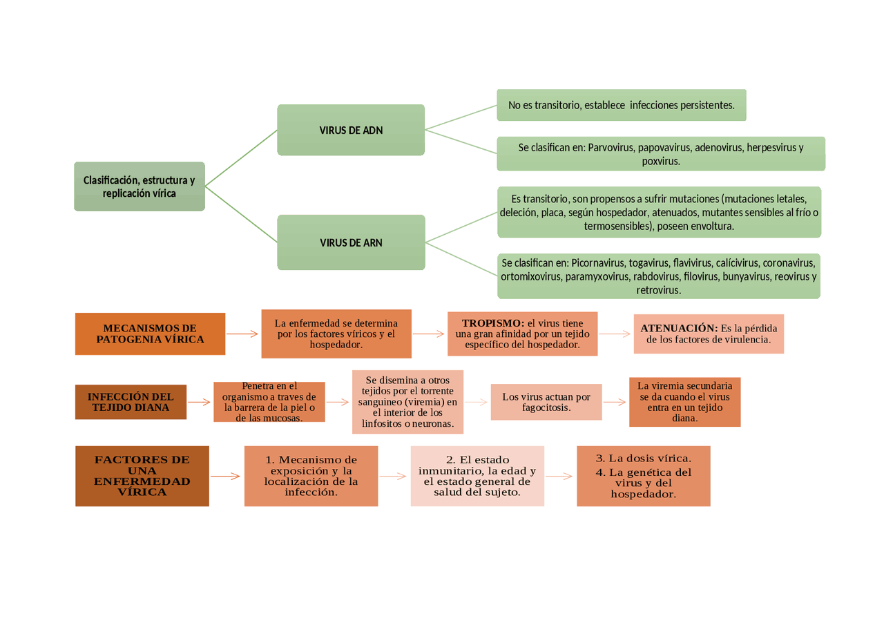 Resumen De Virología Parte 1 Docsity