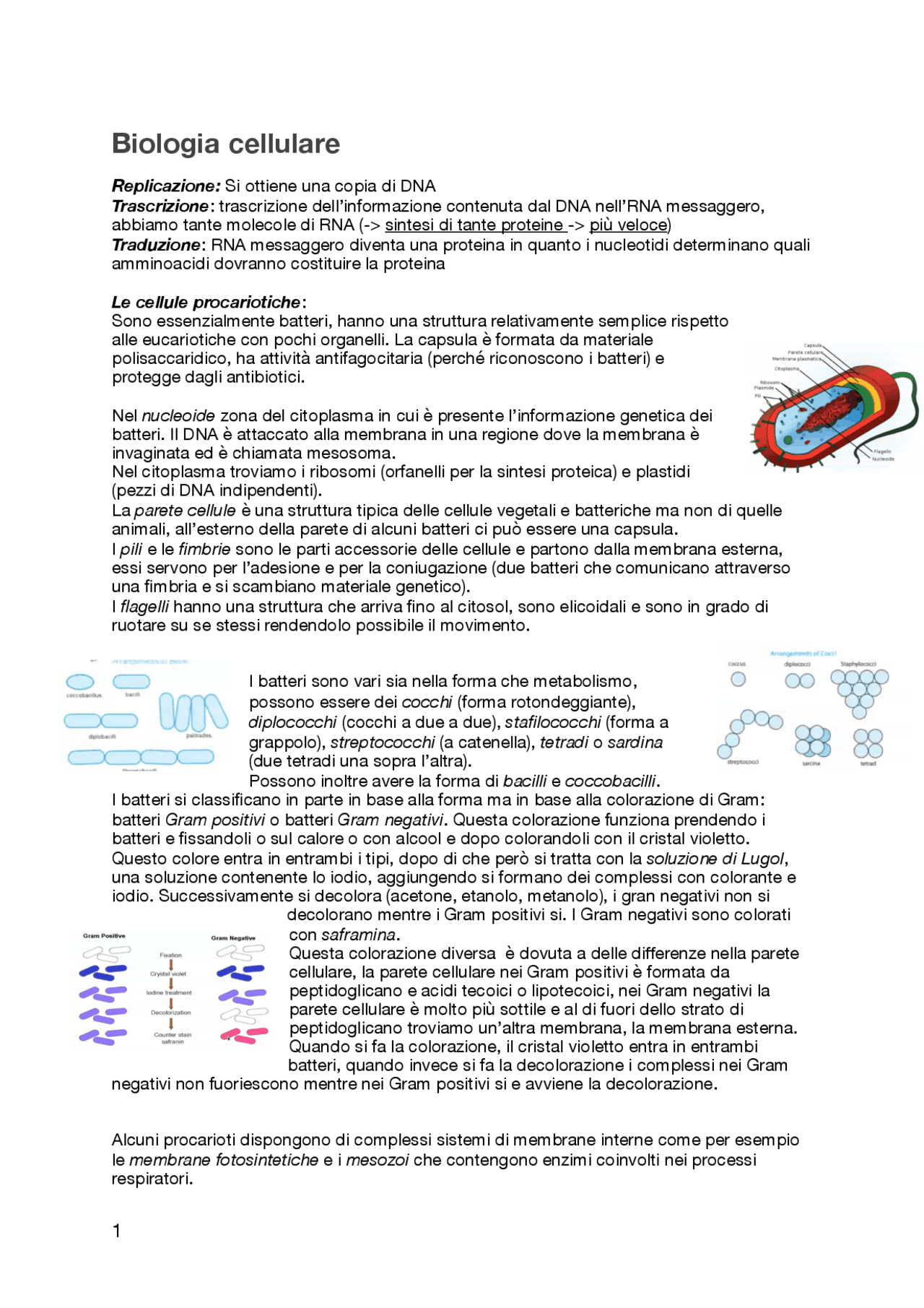 Appunti Biologia Cellulare Appunti Di Biologia Cellulare Docsity