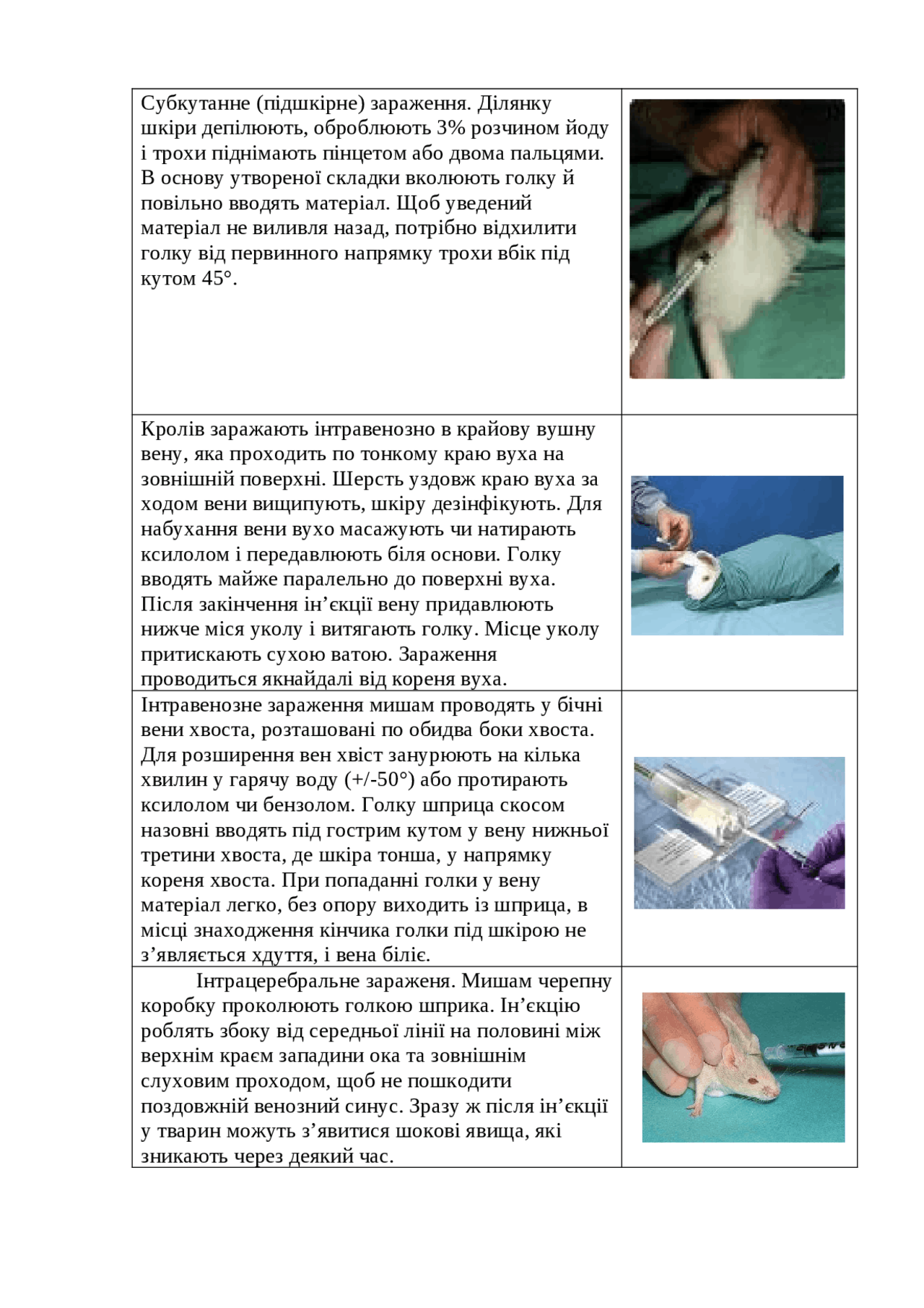 Вирусология вирусы экзамен Docsity