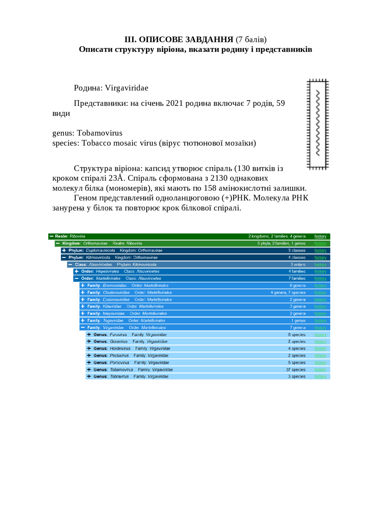 Вирусология вирусы экзамен подготовка Docsity