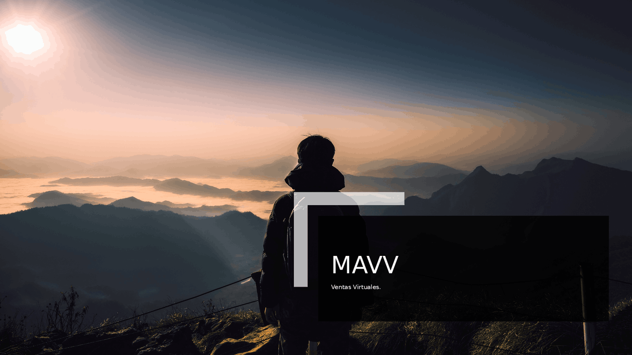 Plan Empresarial de MAVV: Ventas Virtuales de Juguetes y Ropa | Slides ...