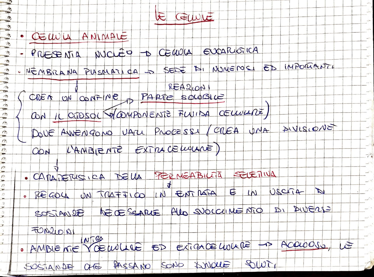 La Membrana Plasmatica Docsity